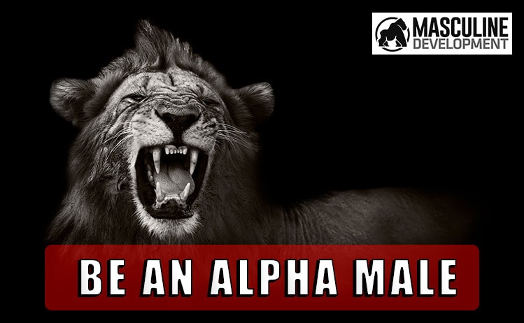 How to Be an Alpha Male: The Only Guide You'll Ever Need