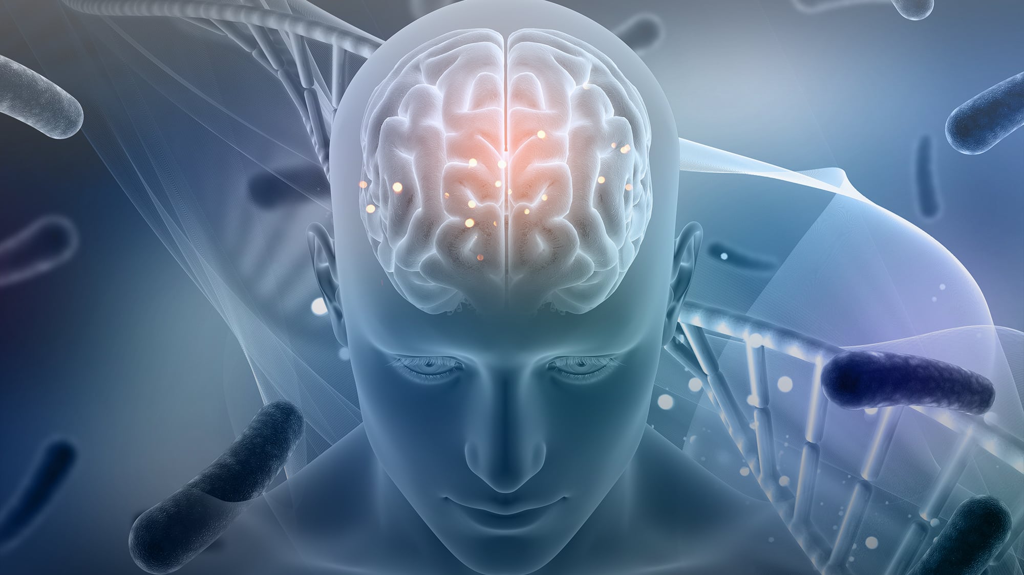 What Are Nootropics? The Ultimate Beginner's Guide (2023)